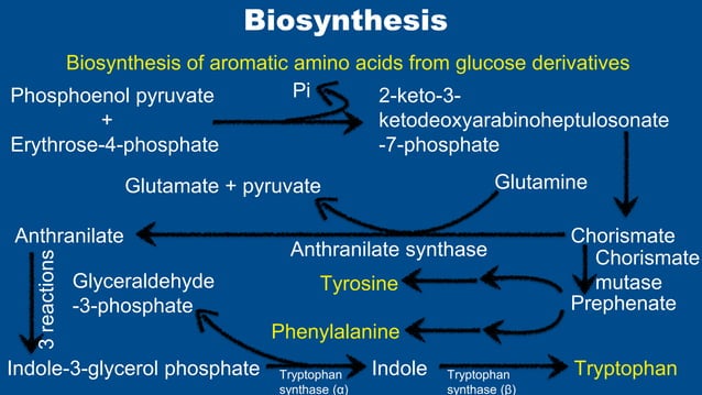 Essential amino acids - Biochemistry………. | PPTX | Endocrine and ...