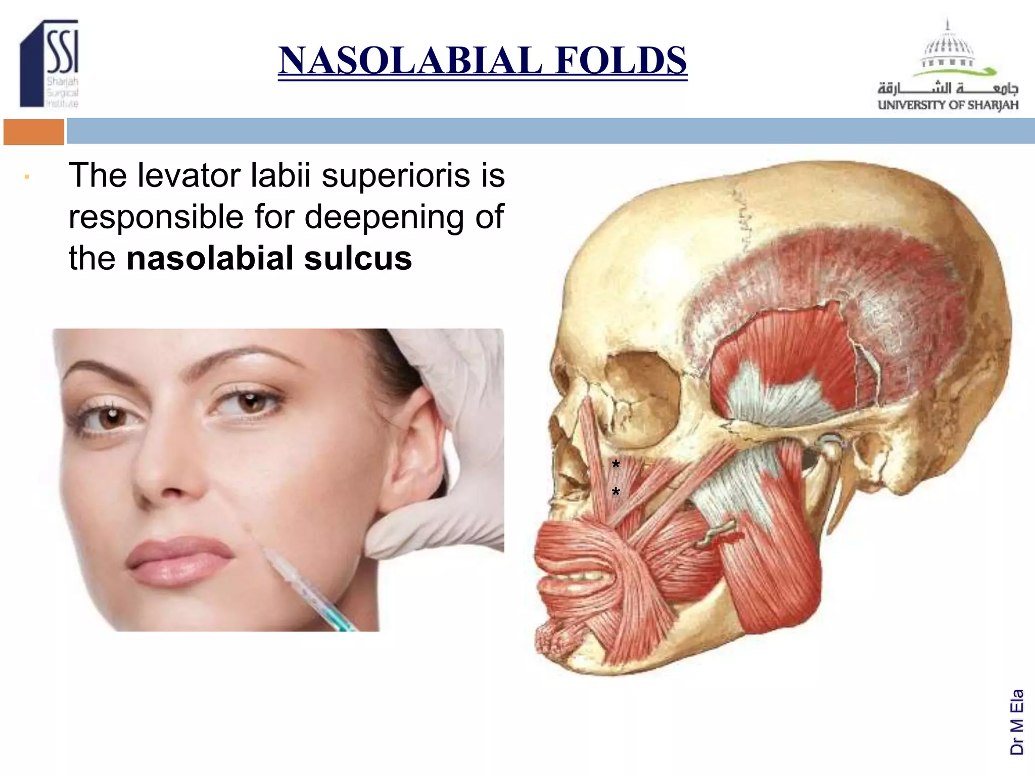 Essential anatomy for facial injections | PPTX