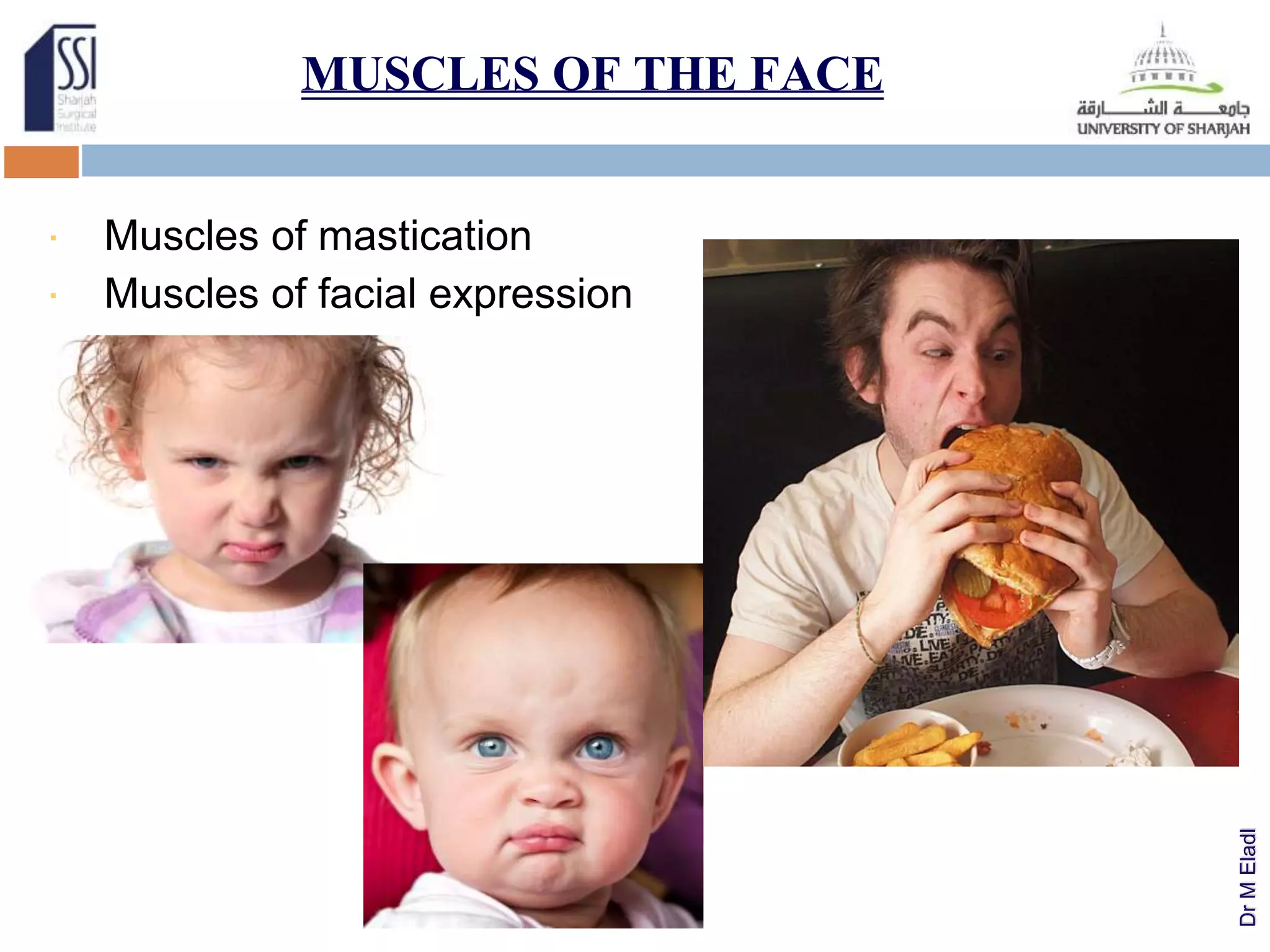 Essential anatomy for facial injections | PPTX