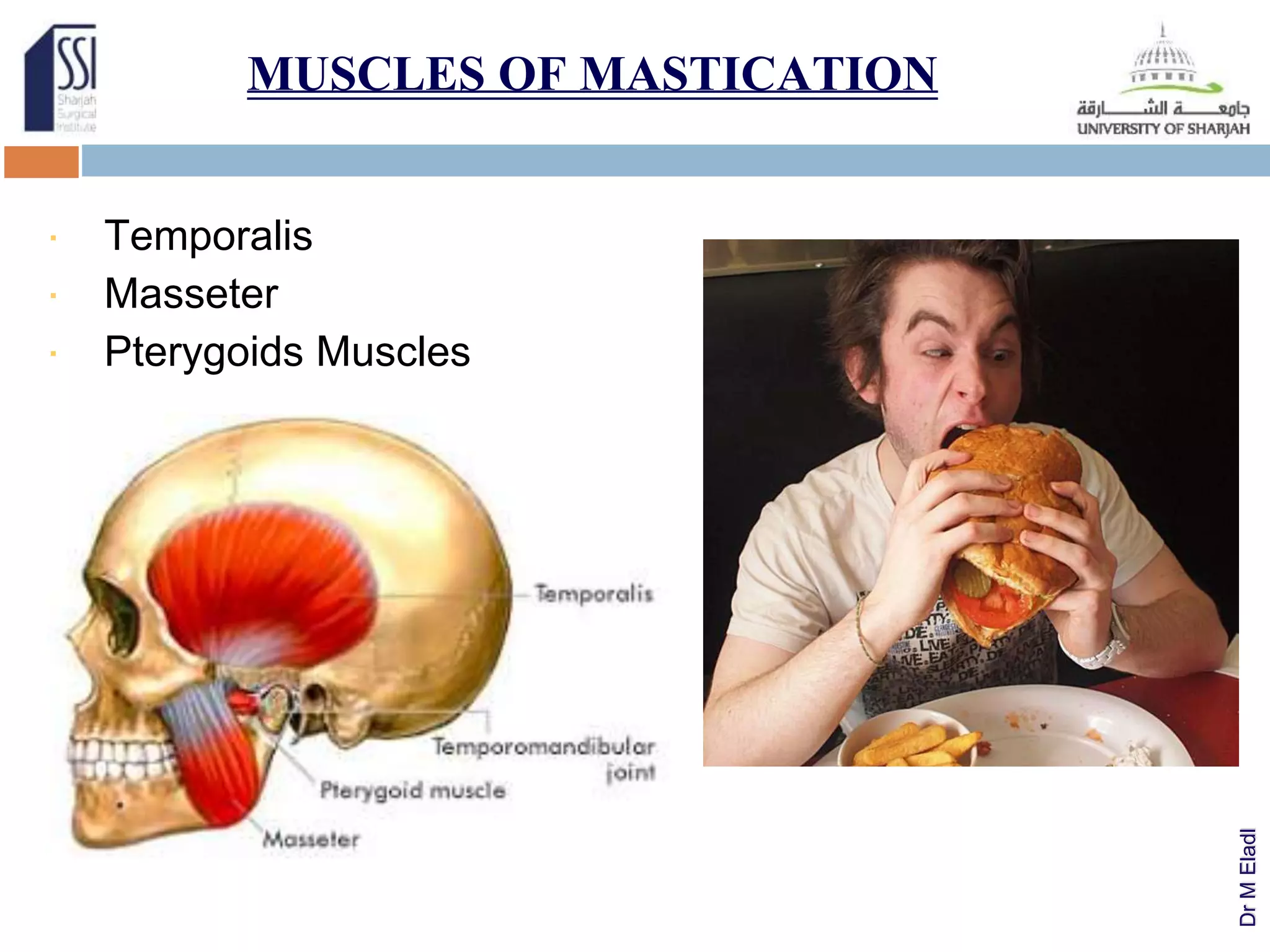 Essential anatomy for facial injections | PPTX