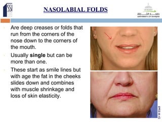 Essential anatomy for facial injections | PPTX