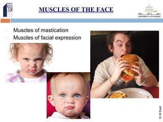 Essential anatomy for facial injections | PPTX