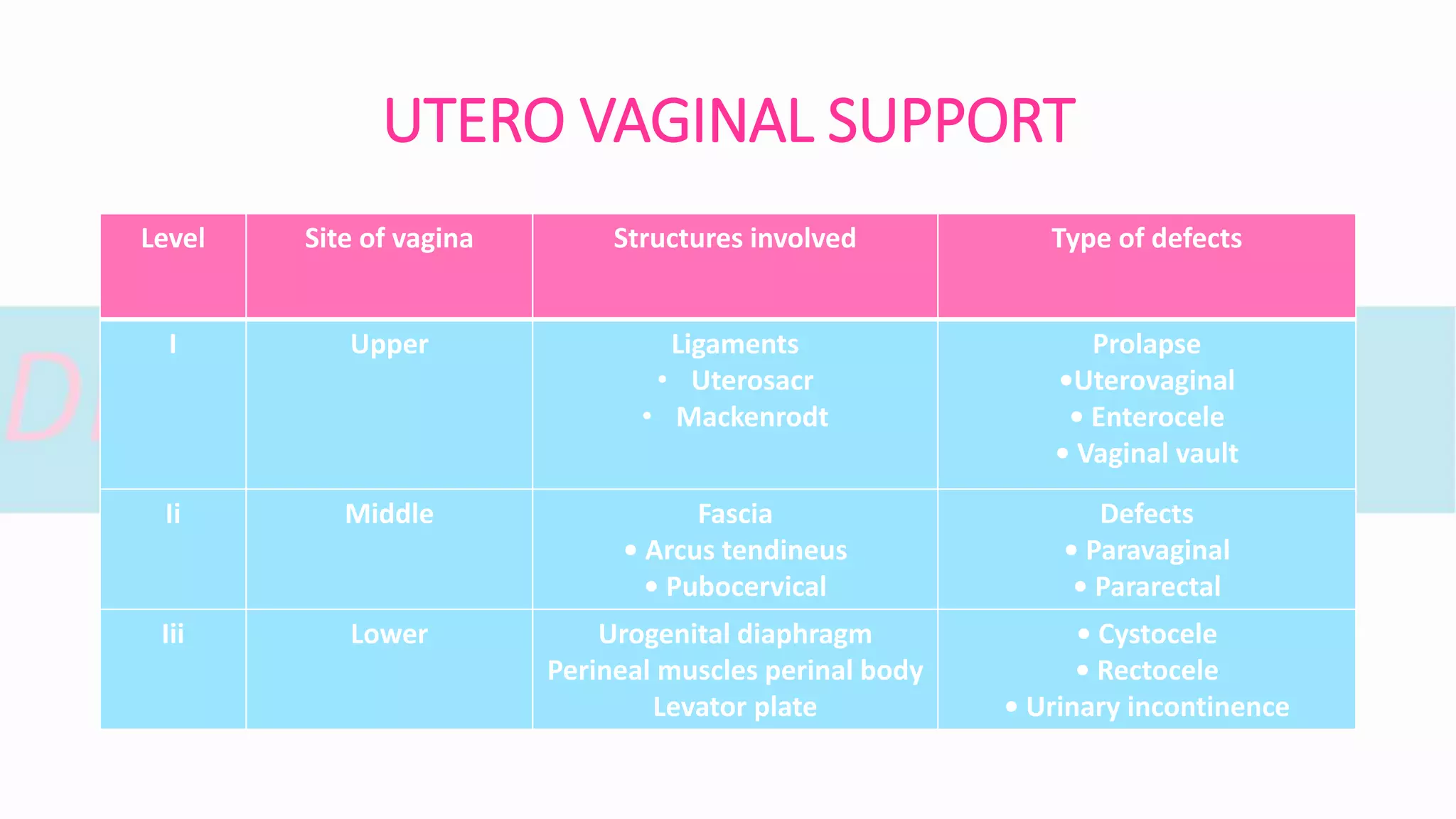 ESSENTIAL ANATOMY IN GYNAECOLOGY PART - I | PPTX