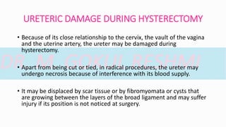 ESSENTIAL ANATOMY IN GYNAECOLOGY PART - I | PPTX