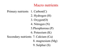 ESSENTIAL AND BENEFICIAL PLANT NUTRIENTS.pptx