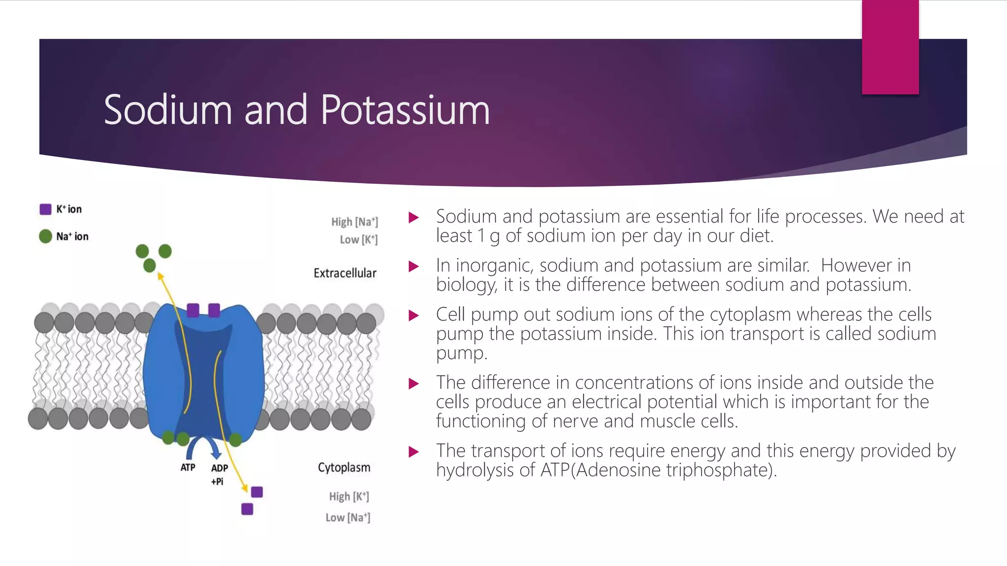 Inorganic Elements in the chemistry of life. | PPTX