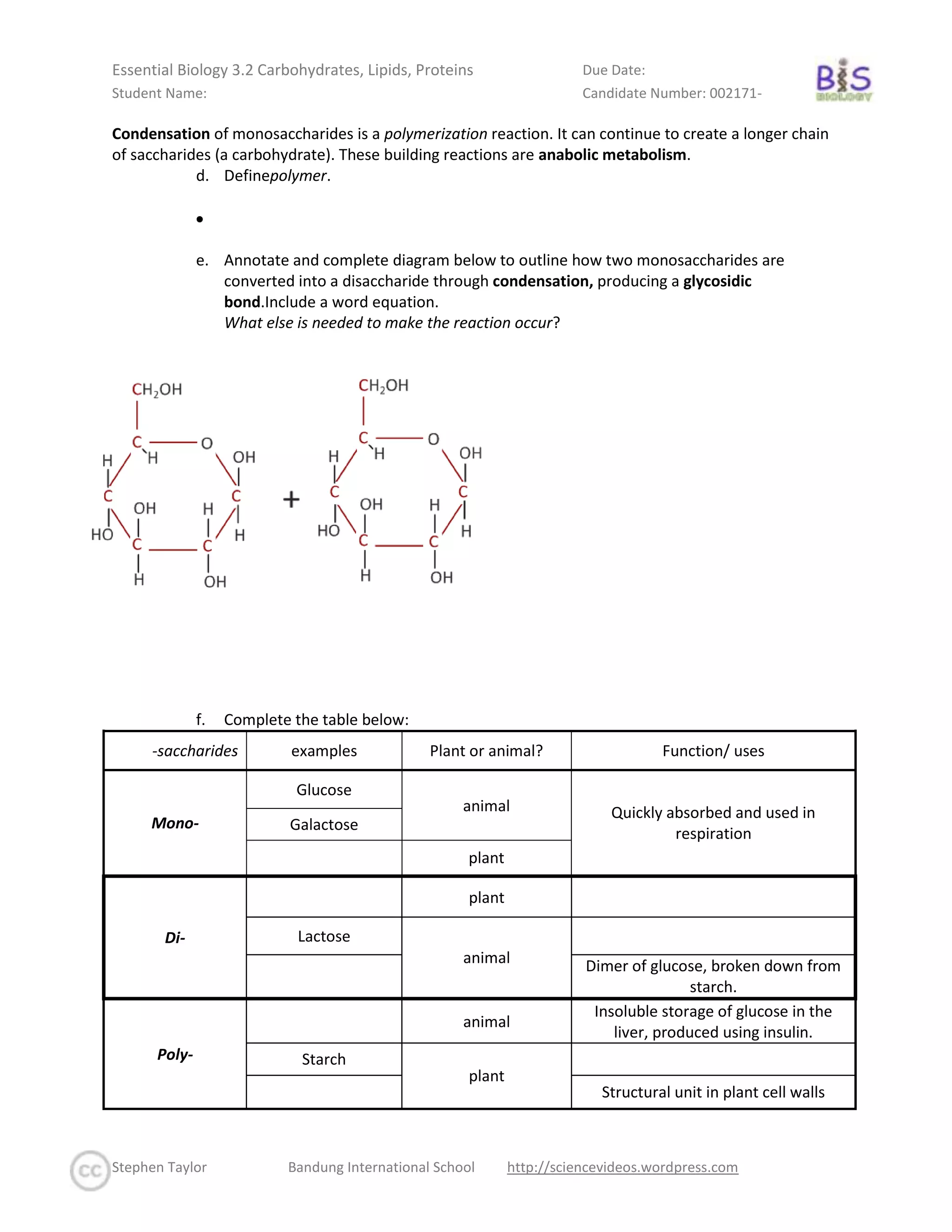Essential Biology 03.2 Carbohydrates, Lipids and Proteins | DOCX