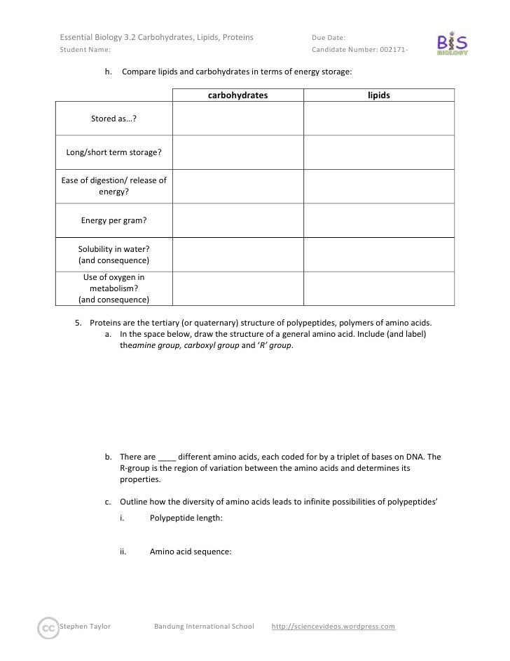 Chemistry Of Carbohydrates Lipids And Proteins Answer Key | Makeupview.co
