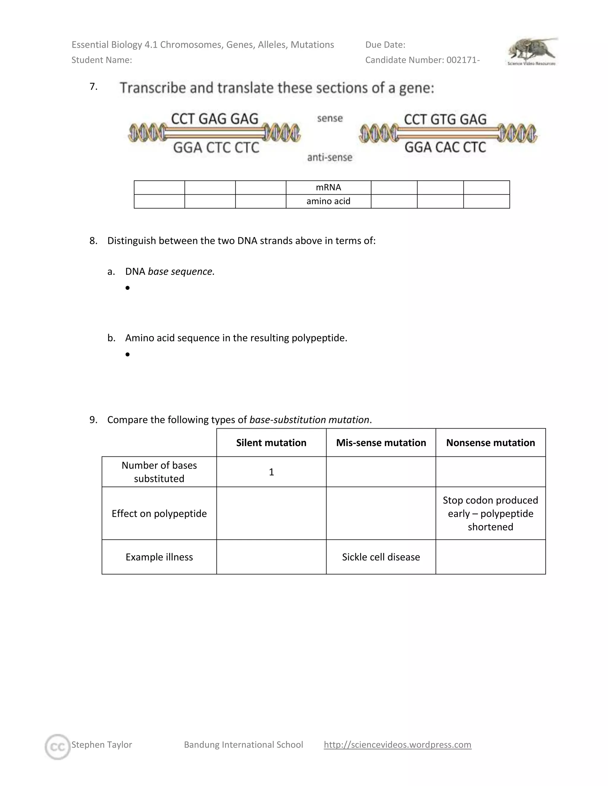 Essential Biology 04.1 Chromosomes, Genes, Alleles, Mutations | PDF