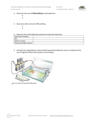 Essential Biology 04.4 Genetic Engineering & Biotechnology | DOCX