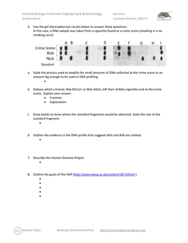 Essential Biology 04.4 Genetic Engineering & Biotechnology | PDF