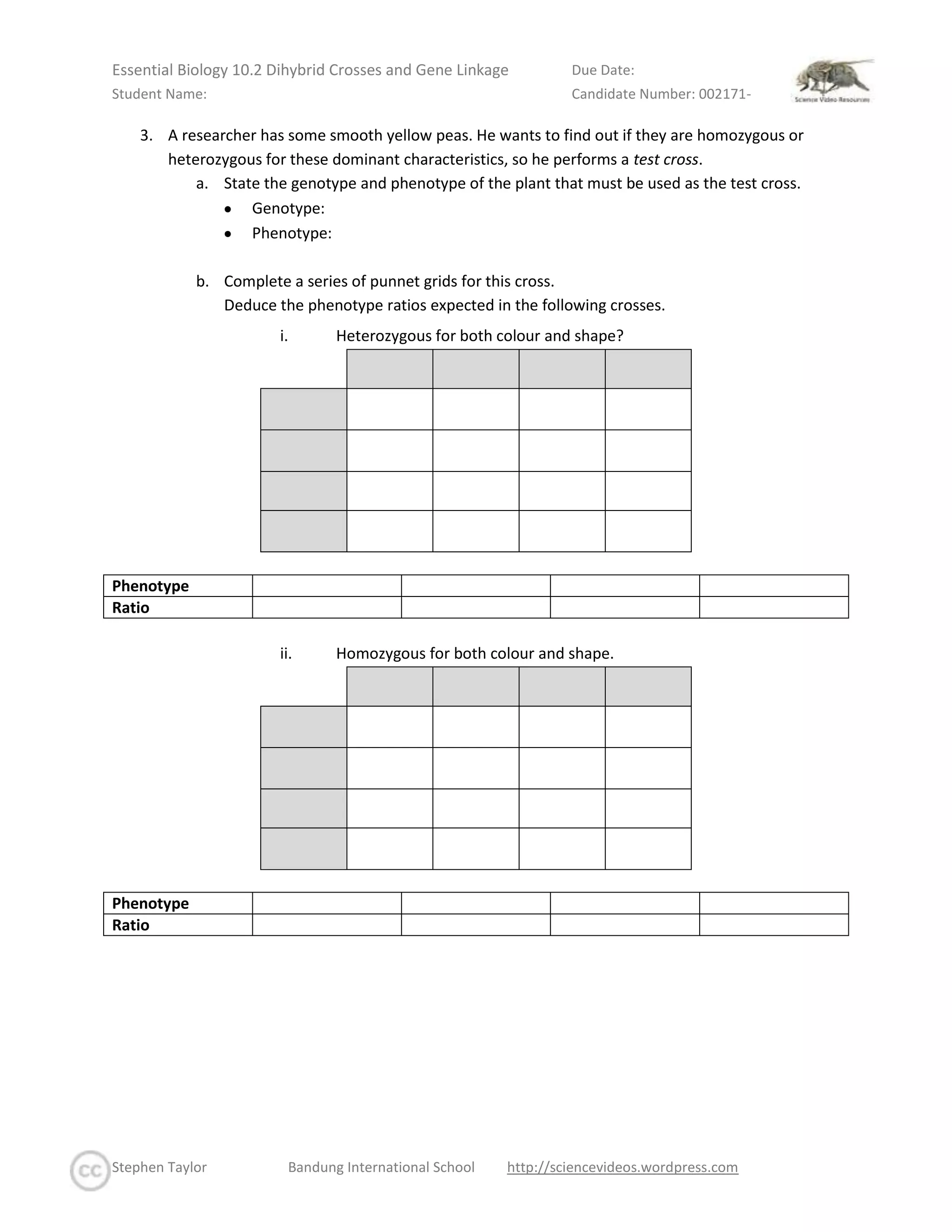 Essential Biology 10.2 Dihybrid Crosses & Gene Linkage (AHL) | DOCX ...