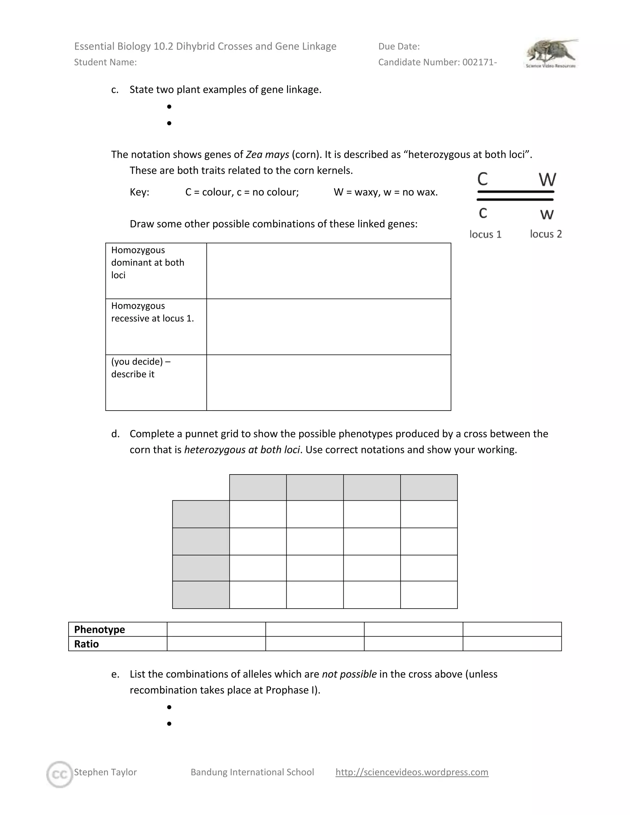 Essential Biology 10.2 Dihybrid Crosses & Gene Linkage (AHL) | DOCX ...