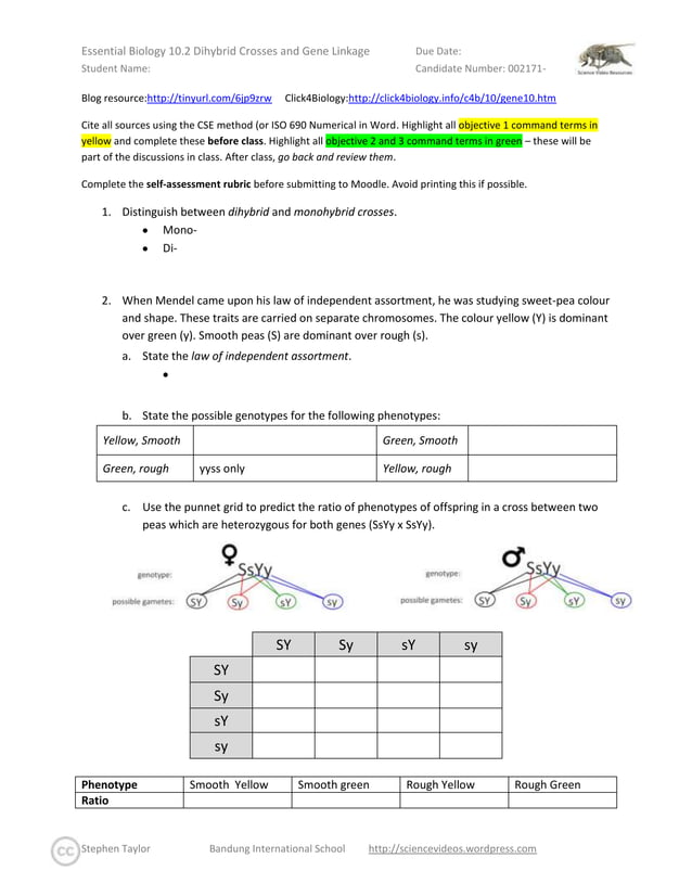 Essential Biology 10.2 Dihybrid Crosses & Gene Linkage (AHL) | DOCX ...