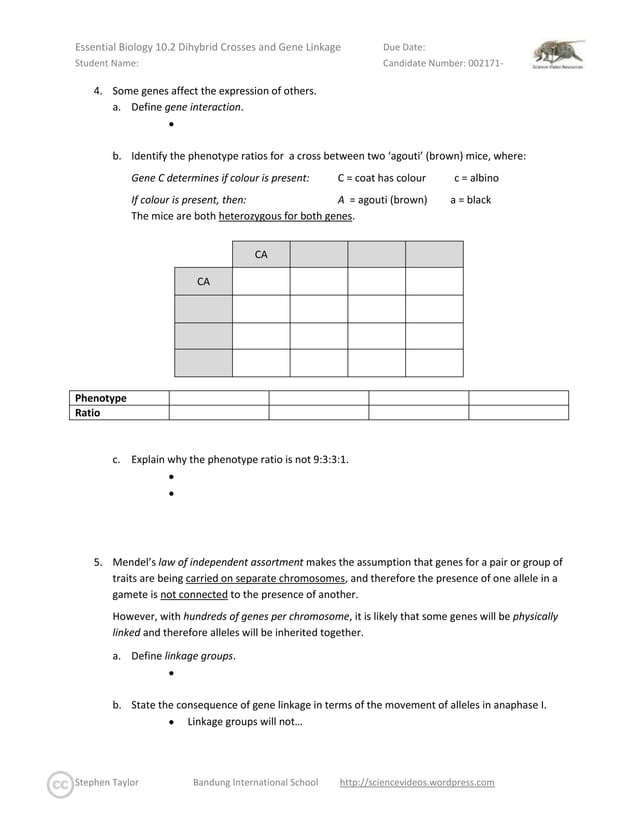 Essential Biology 10.2 Dihybrid Crosses & Gene Linkage (AHL) | DOCX ...