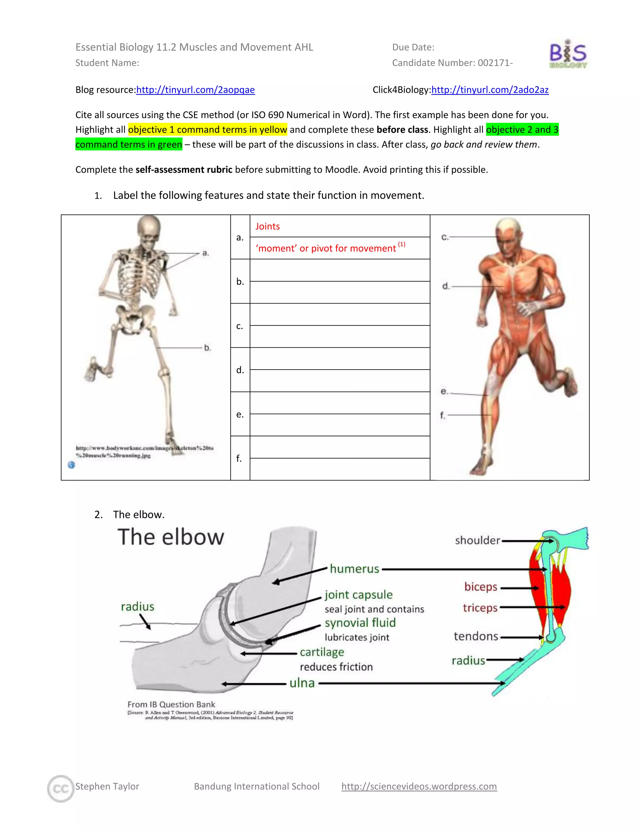 Essential Biology 11.2 Muscles and Movement AHL | DOCX