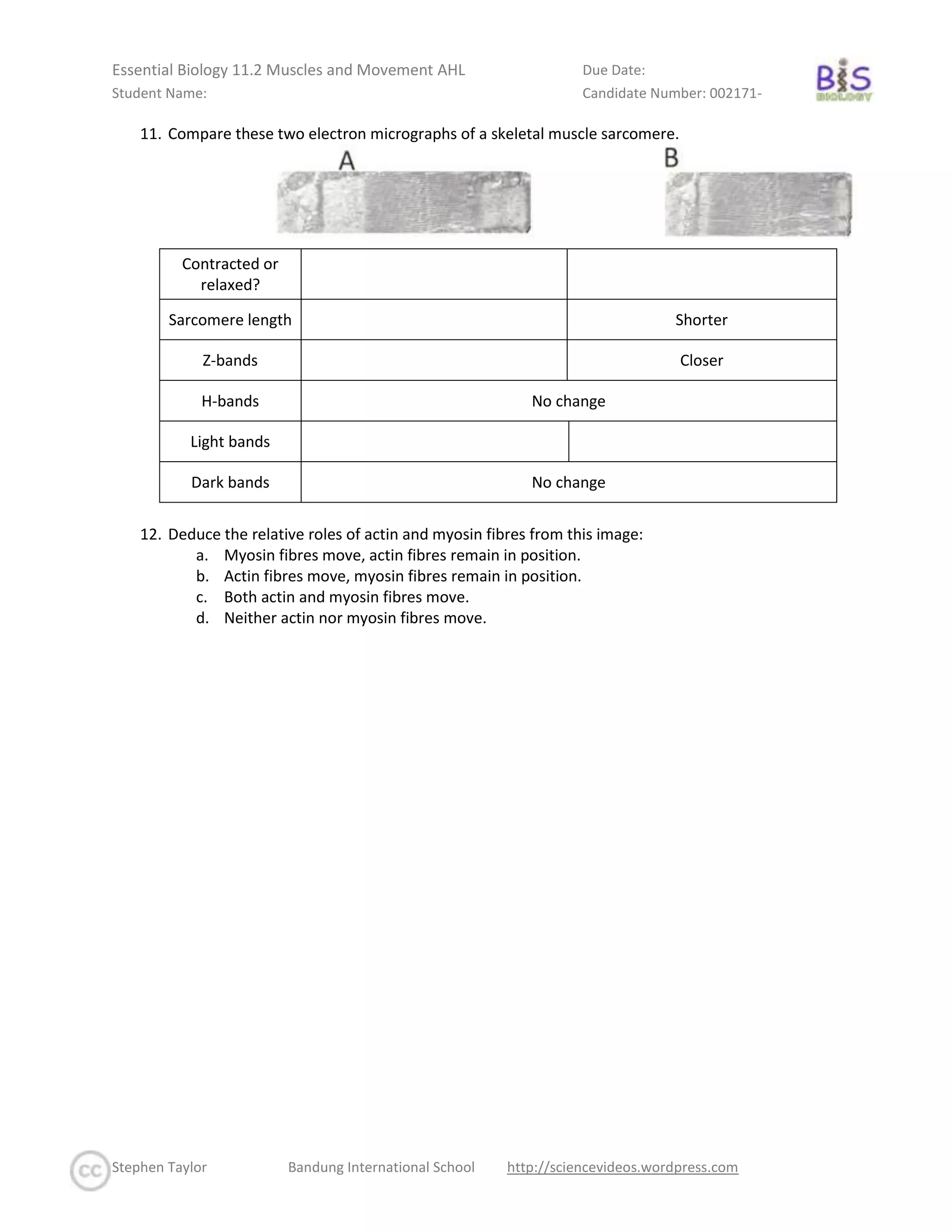 Essential Biology 11.2 Muscles and Movement AHL | DOCX