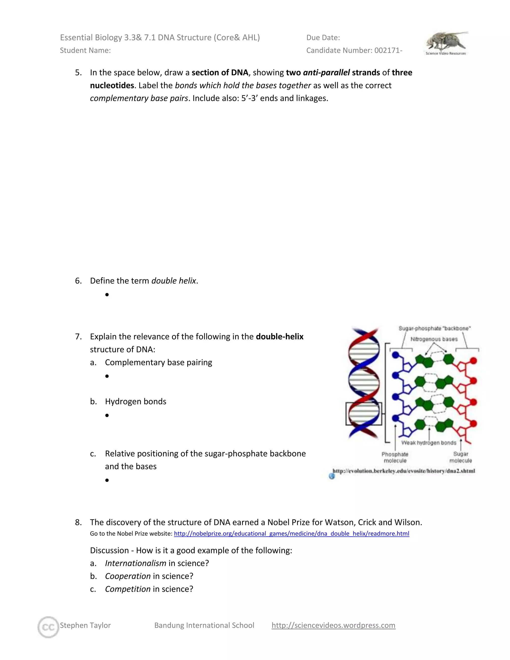 Essential Biology 3.3 & 7.1 DNA Structure (Core & AHL) | DOCX