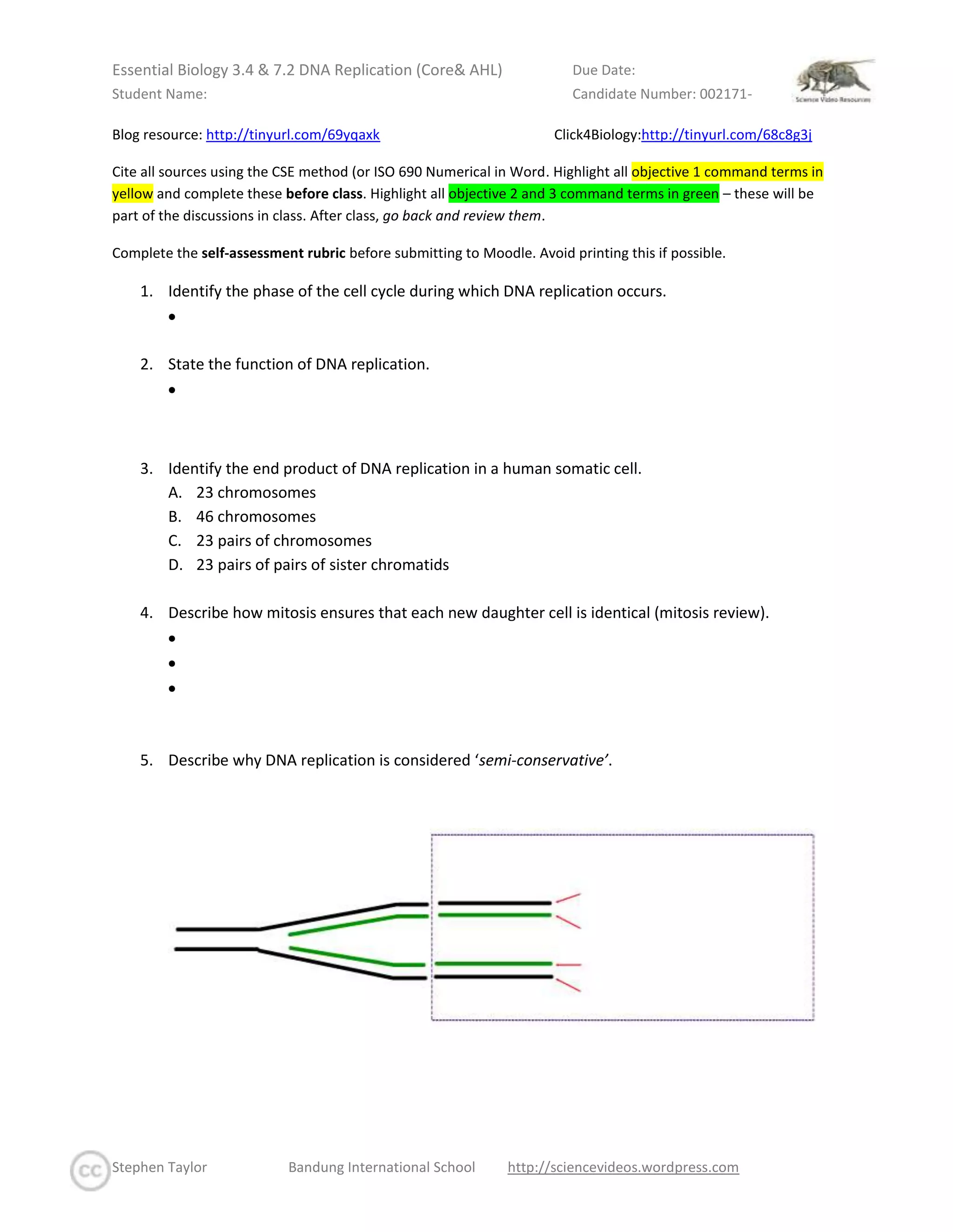 Essential Biology 3.4 & 7.2 DNA Replication (Core & AHL) | DOCX