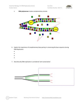 Essential Biology 3.4 DNA Replication (Core) | DOCX