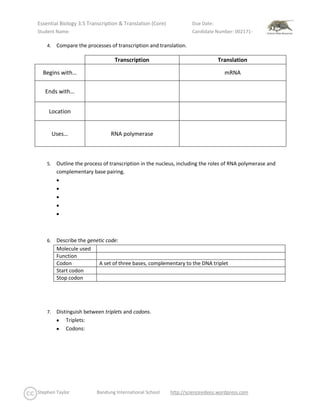 Essential Biology 3.5 Transcription & Translation (Core) | PDF