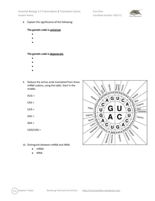 Essential Biology 3.5 Transcription & Translation (Core) | PDF