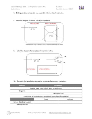 Essential Biology Respiration (Core & AHL/Option C) | PDF