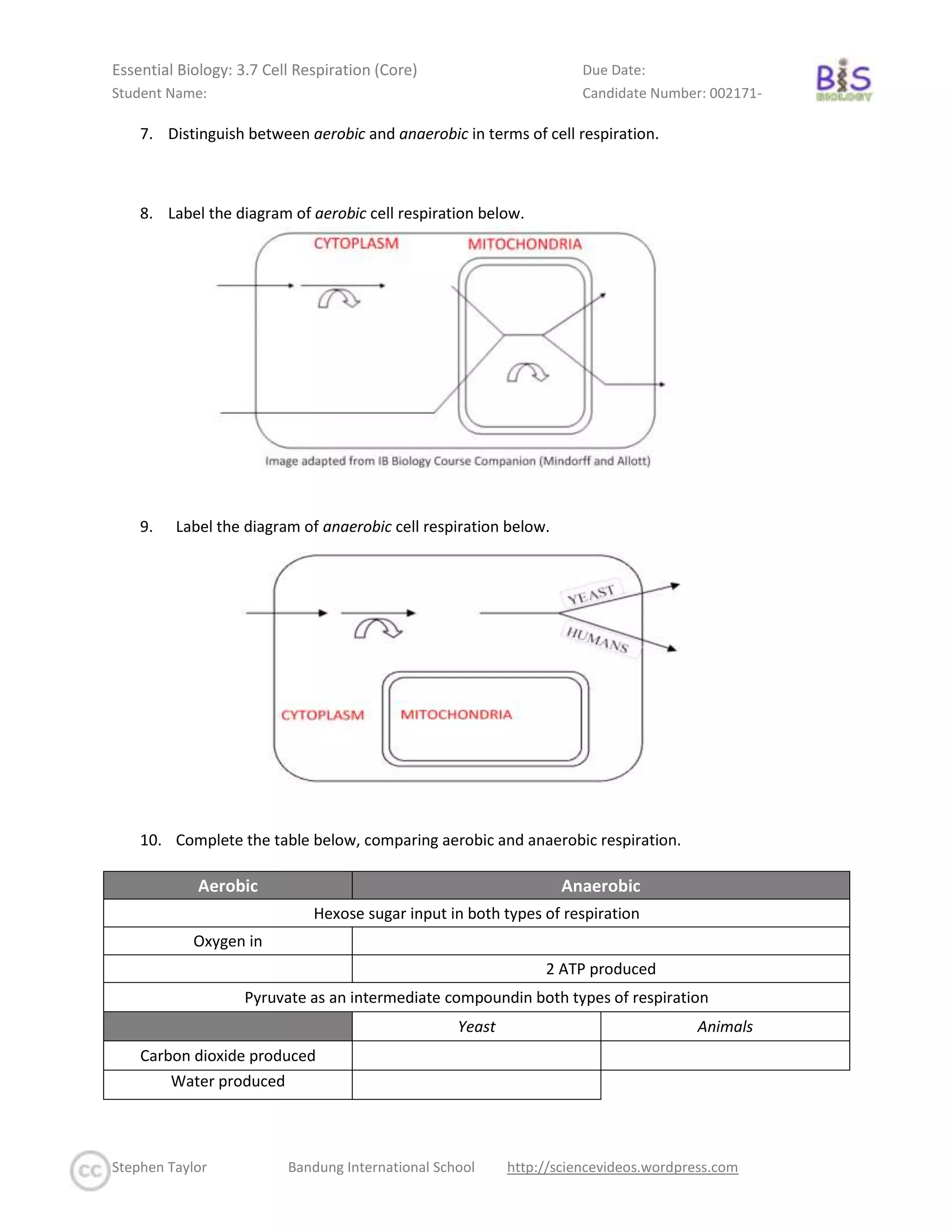 Essential Biology 3.7 Respiration (Core) | DOCX
