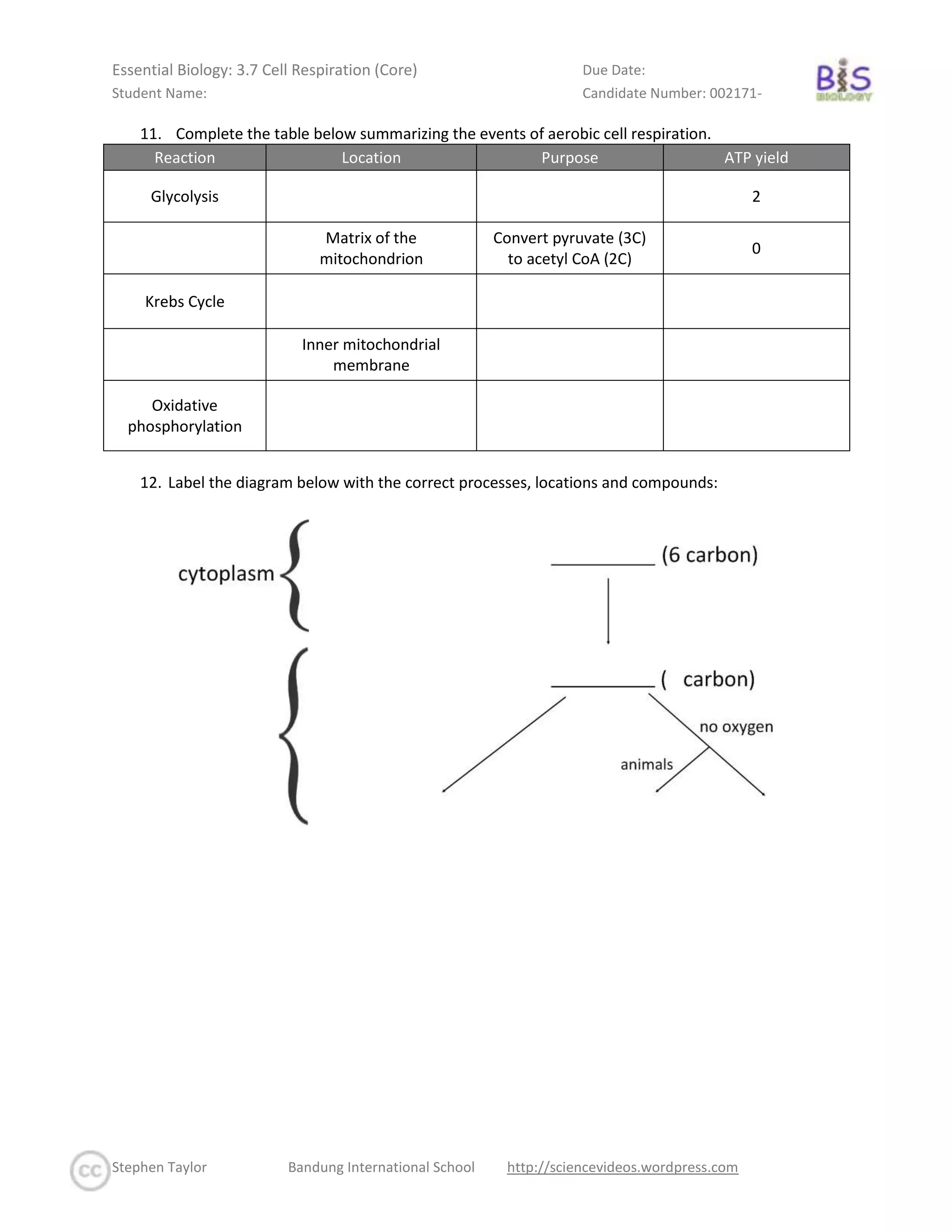 Essential Biology 3.7 Respiration (Core) | DOCX