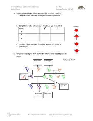 Essential Biology 4.3 Theoretical Genetics | DOCX