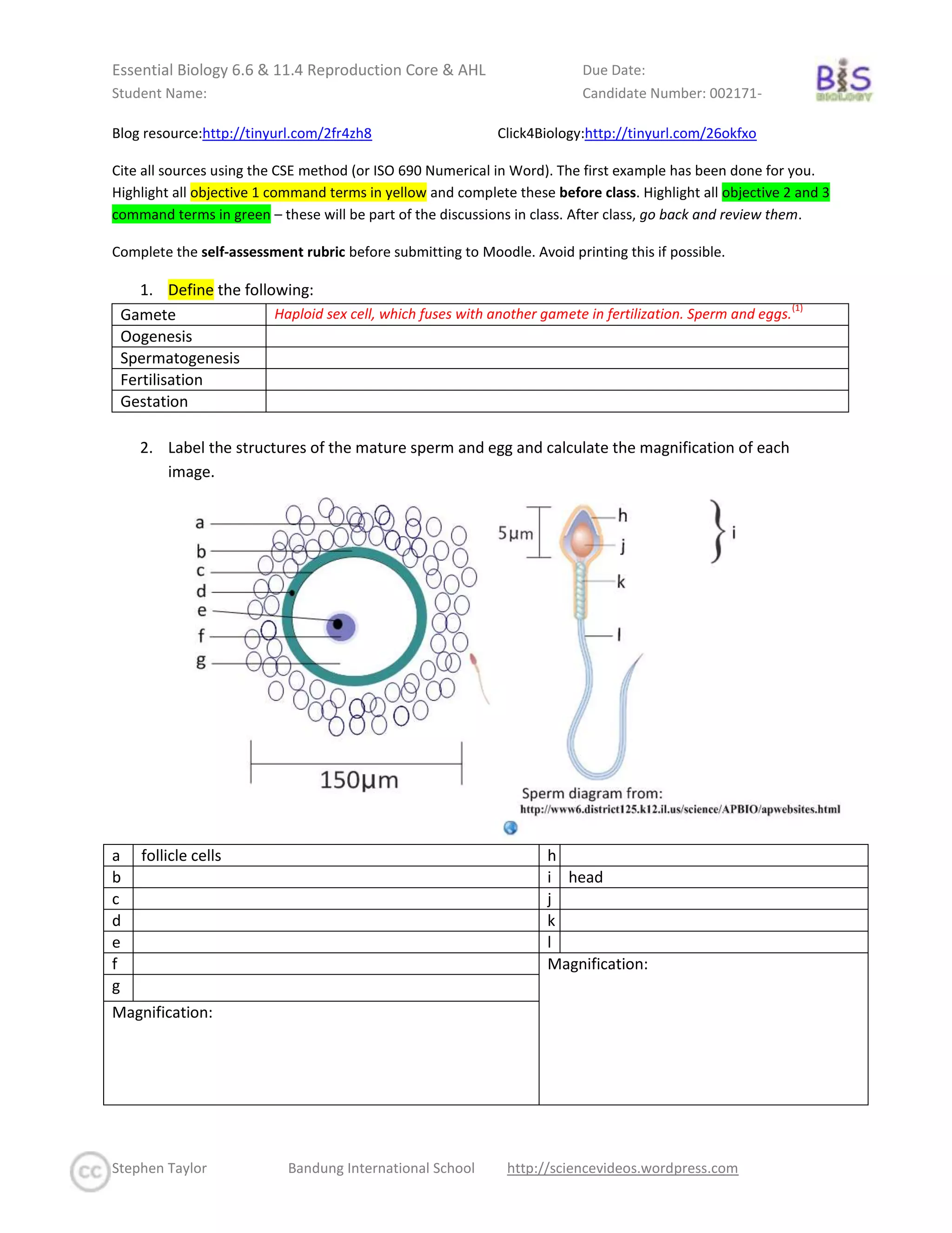 Essential Biology 6.6 & 11.1 Reproduction Core & AHL | DOCX