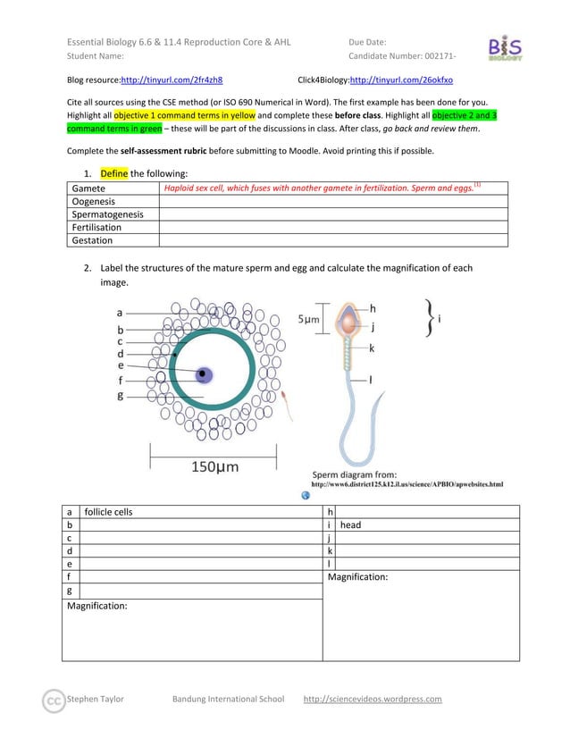 Essential Biology 6.6 & 11.1 Reproduction Core & AHL | DOCX