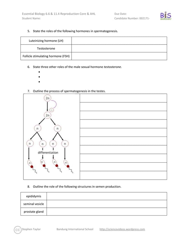 Essential Biology 6.6 & 11.1 Reproduction Core & AHL | DOCX