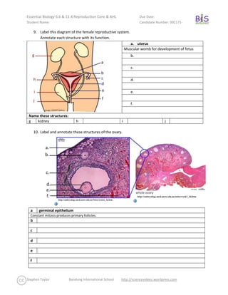 Essential Biology 6.6 & 11.1 Reproduction Core & AHL | DOCX