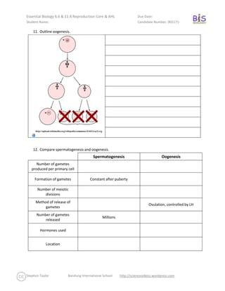 Spermatogenesis And Oogenesis Worksheet