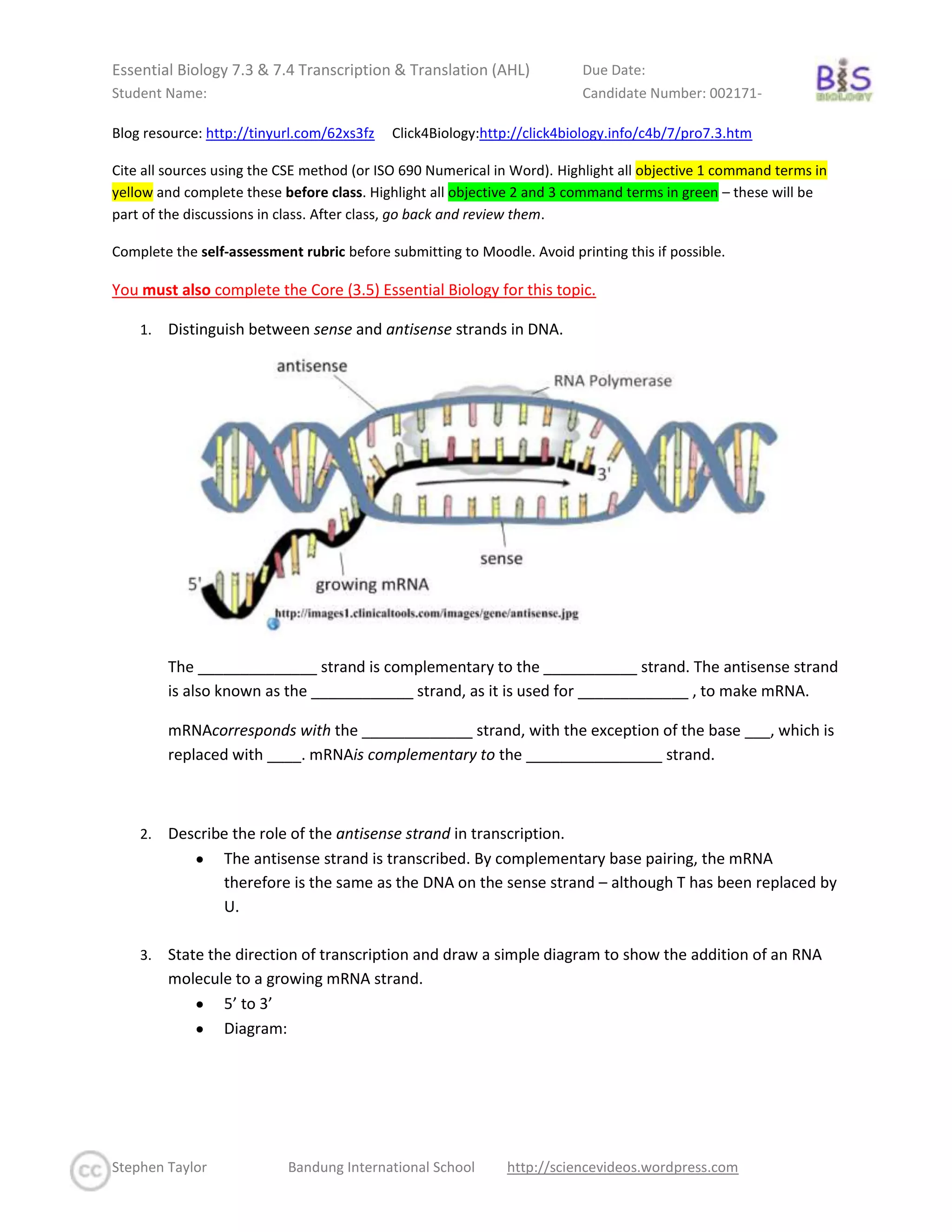 Essential Biology 7.3 7.4 Transcription Translation ahl | DOCX