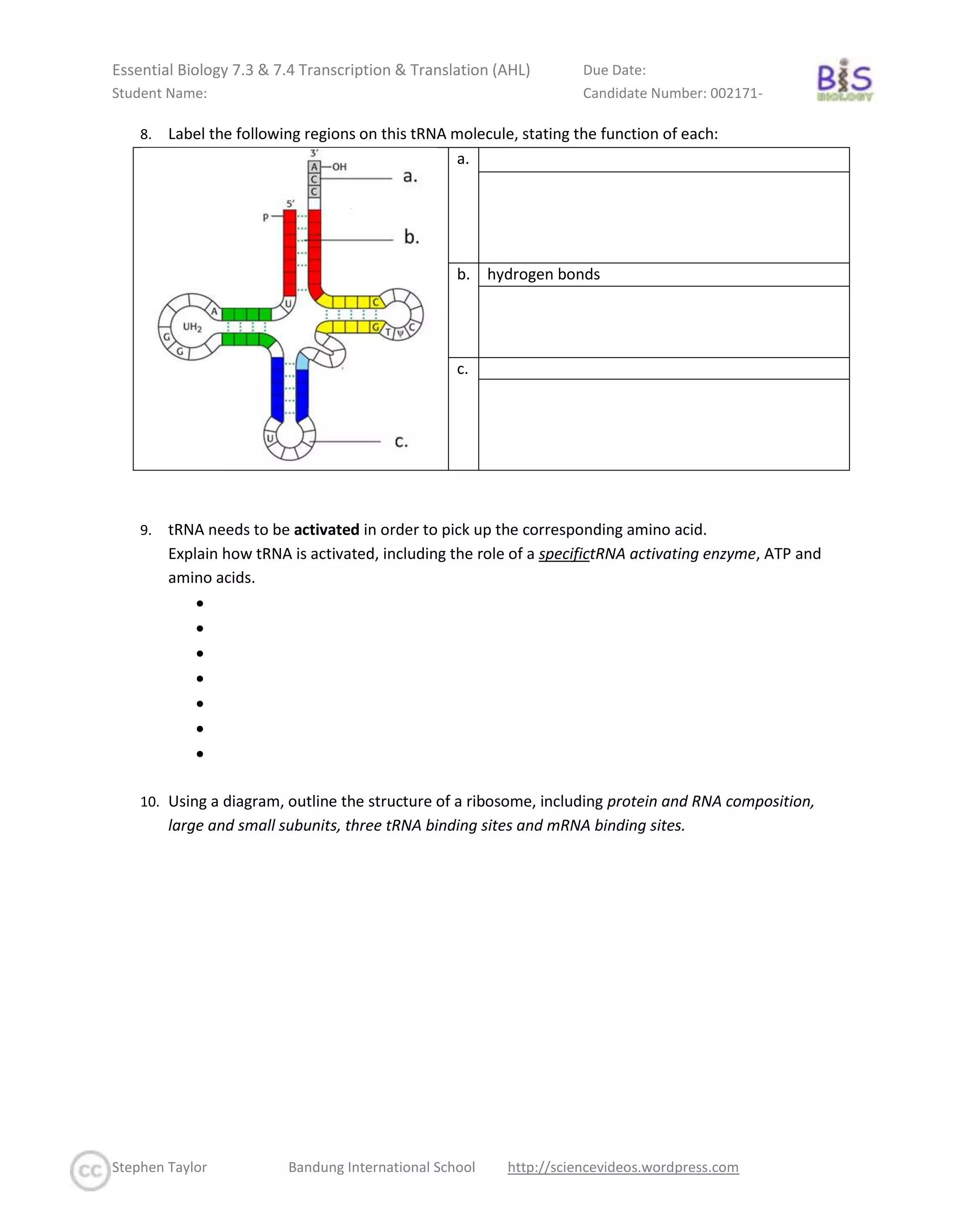 Essential Biology 7.3 7.4 Transcription Translation ahl | DOCX