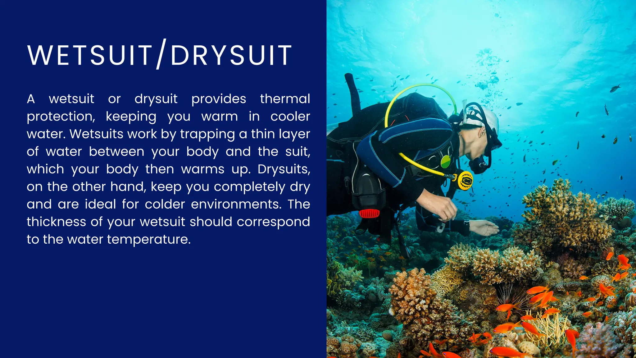 Adam McManus: Essential Diving Equipment | PPT