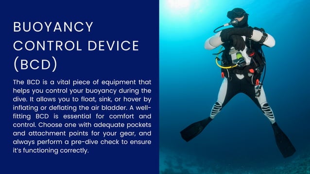 Adam McManus: Essential Diving Equipment | PPT