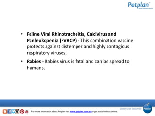 Essential Dog and Cat Vaccinations | PPTX