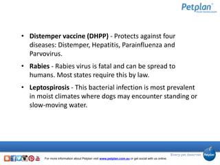 Essential Dog and Cat Vaccinations | PPTX