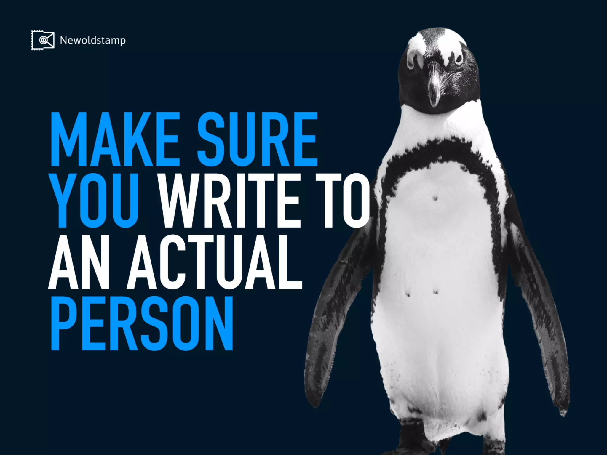 Essential Elements of a Successful Introduction Email Template | PPT