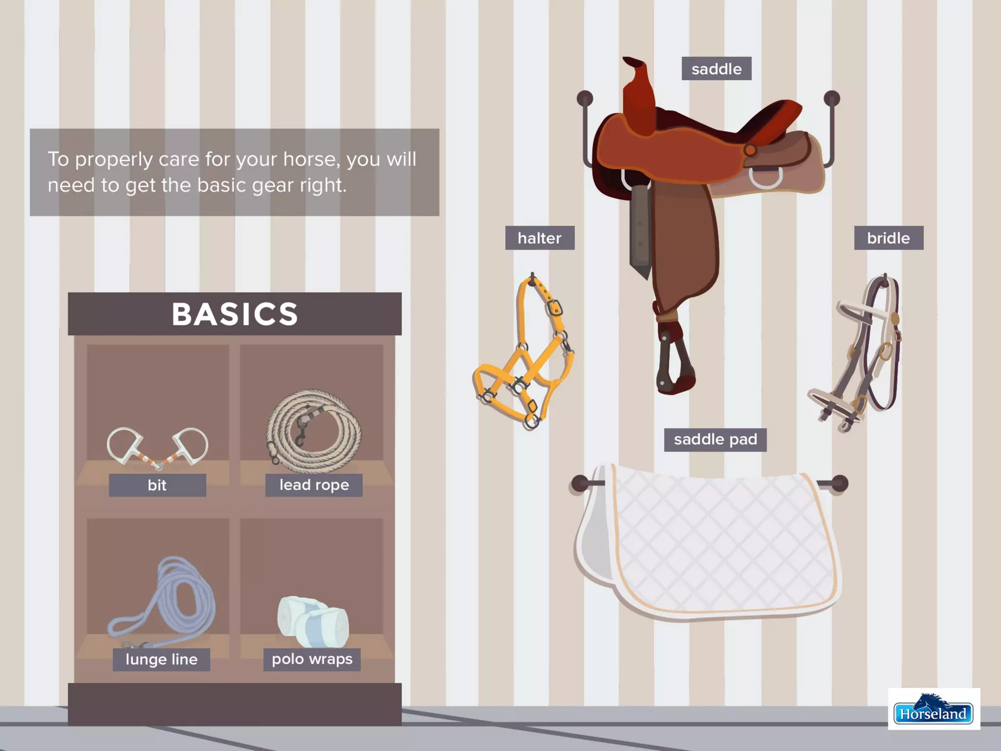 Essential Equine Supplies for First-Time Horse Owners | PPT