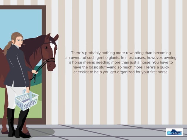 Essential Equine Supplies for First-Time Horse Owners | PPT
