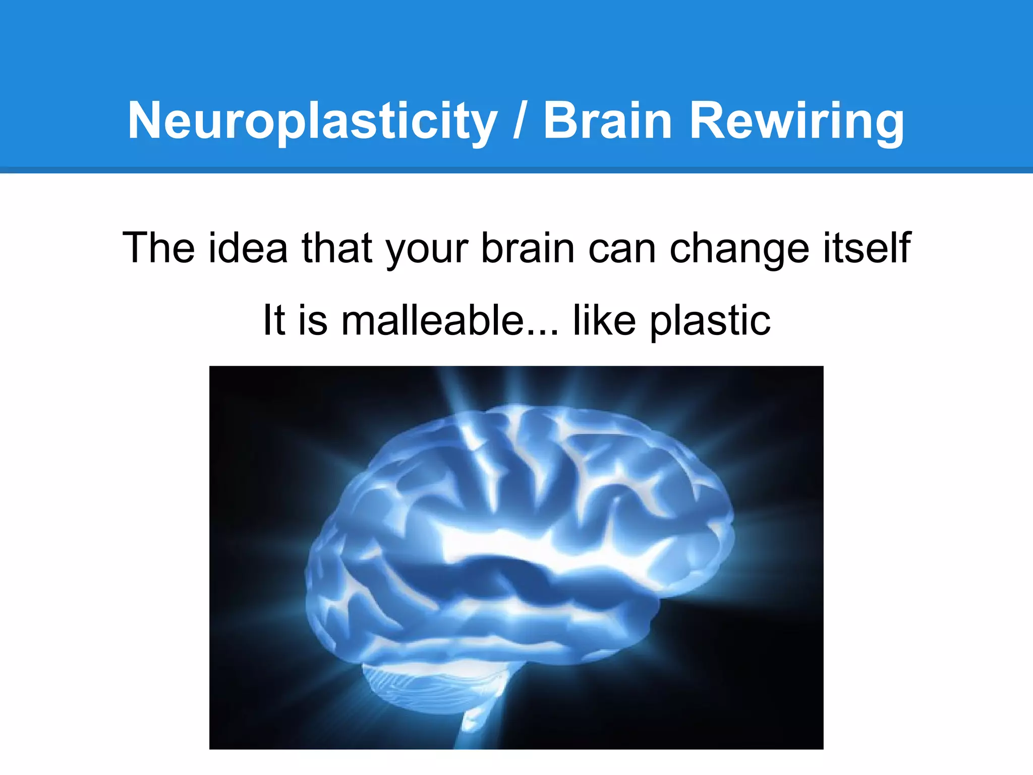 Speed Reading: Essential Eye Training and Brain Rewiring | PDF