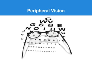 Speed Reading: Essential Eye Training and Brain Rewiring | PPT