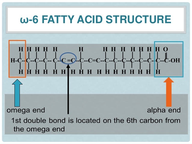 Essential fatty acids (omega-6 fatty acid synthesis)