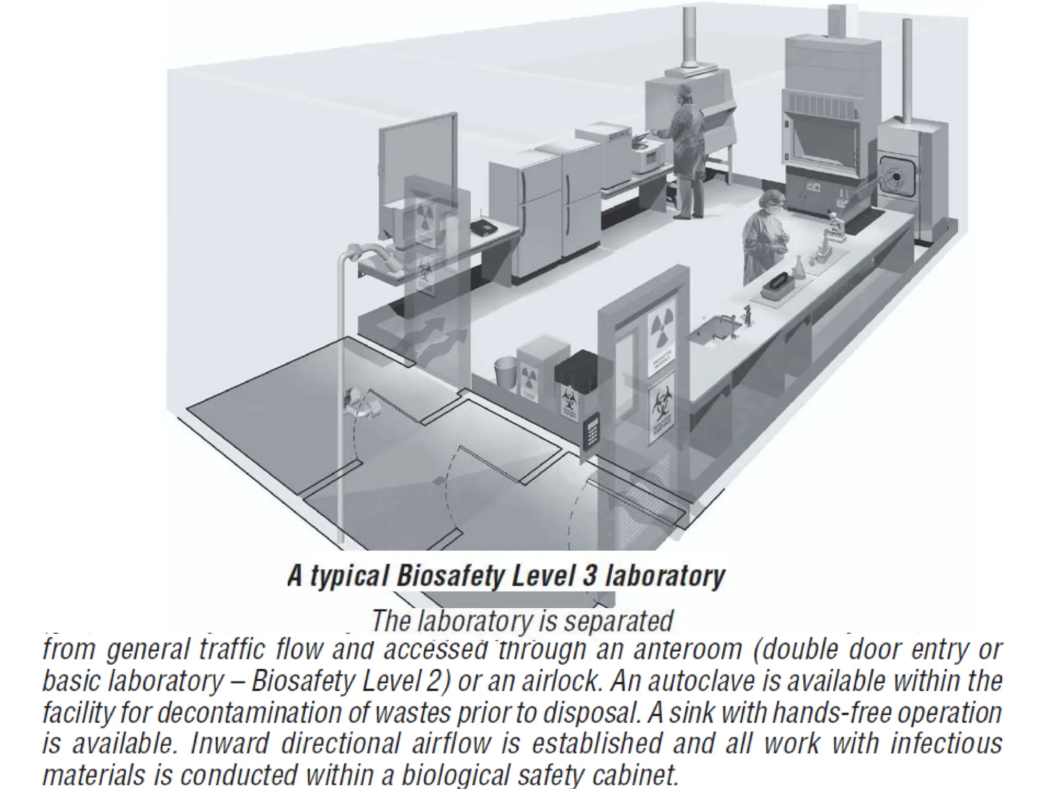 ESSENTIAL FEATURES REQUIRED FOR ESTABLISHING FOUR TYPES OF BIOSAFETY ...