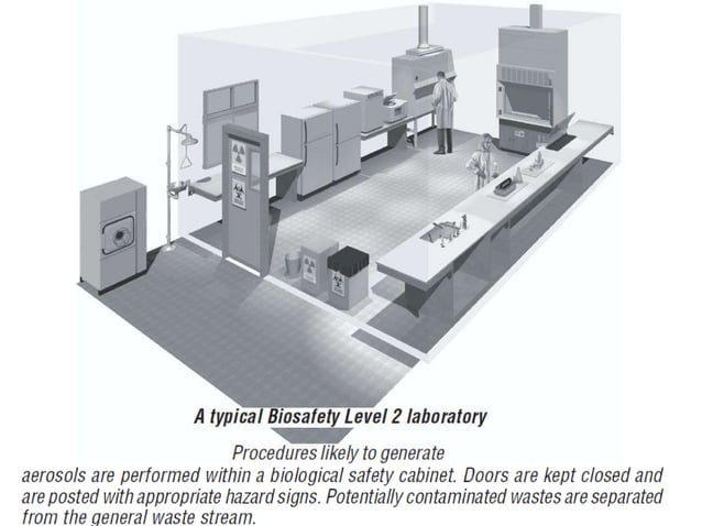 ESSENTIAL FEATURES REQUIRED FOR ESTABLISHING FOUR TYPES OF BIOSAFETY ...