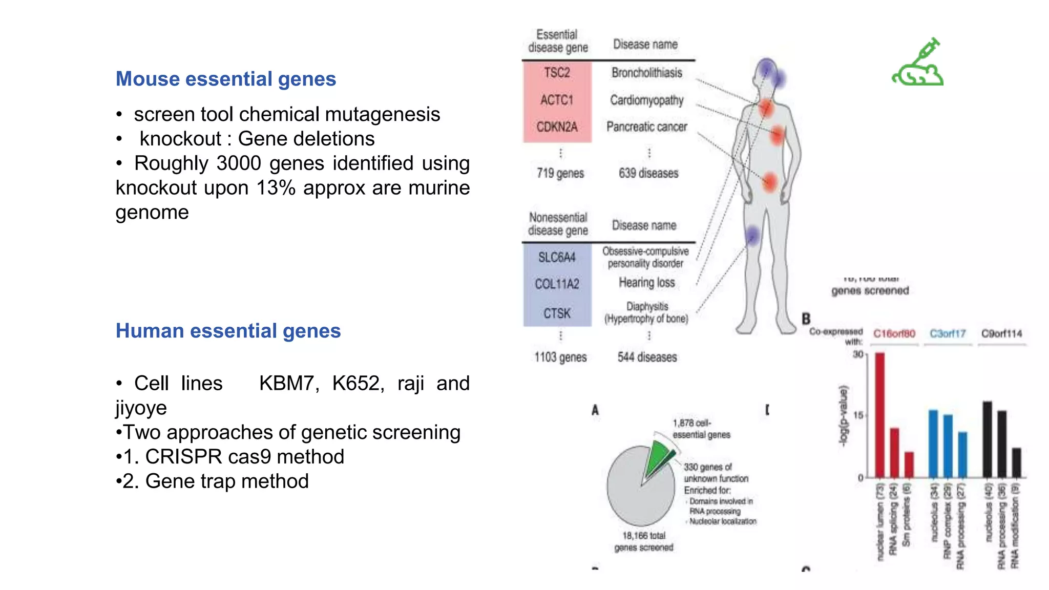 Essential Genes of prokaryotes and eukaryotes.pptx